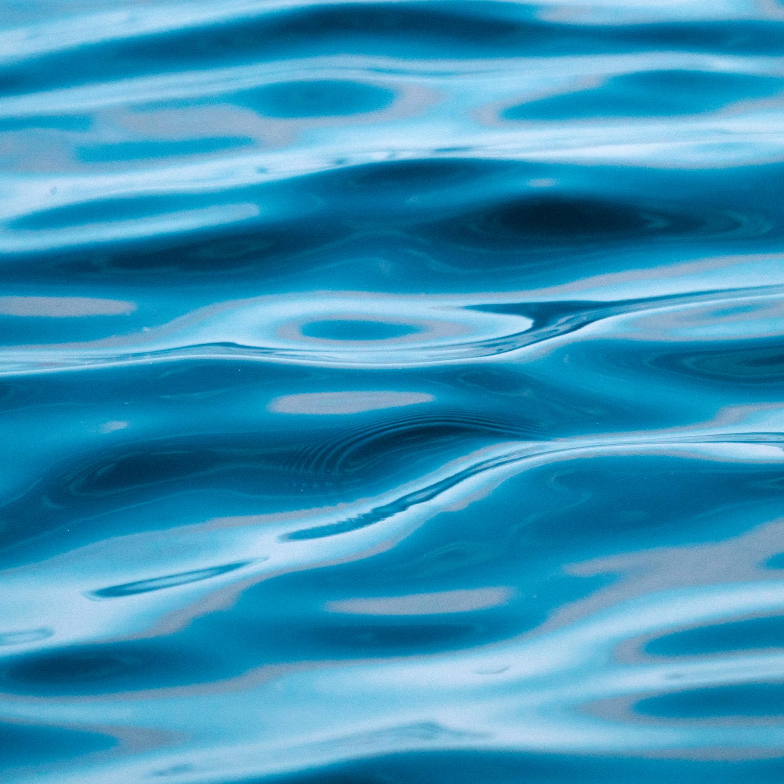 Global leader in pool and wellness solutions | Fluidra